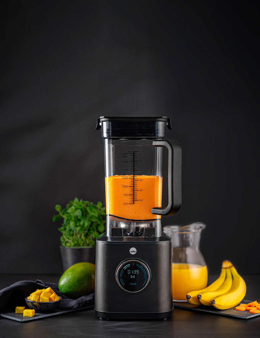 Blender | Best in test | The market's toughest for home use | WILFA ...